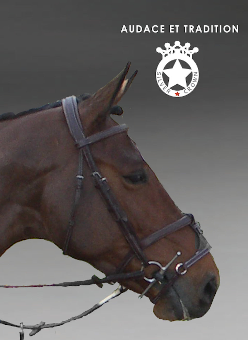 Silver Crown: Beautiful, cleverly designed bridles – Shadow Horse